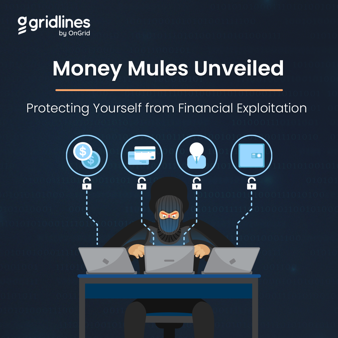 Money Mules: How They Impact You and Your Finances